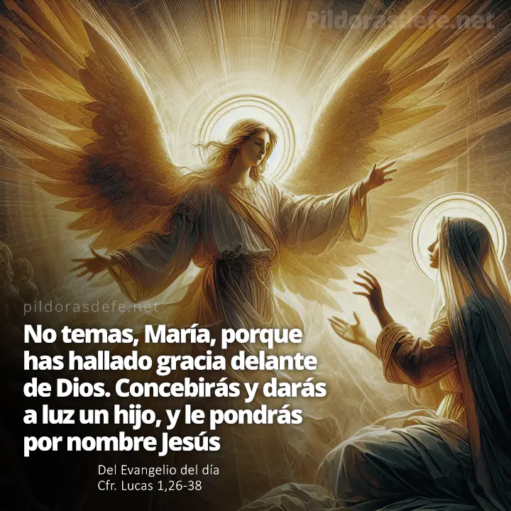 Evangelio de hoy Miércoles 20/12/23: Lecturas de hoy
