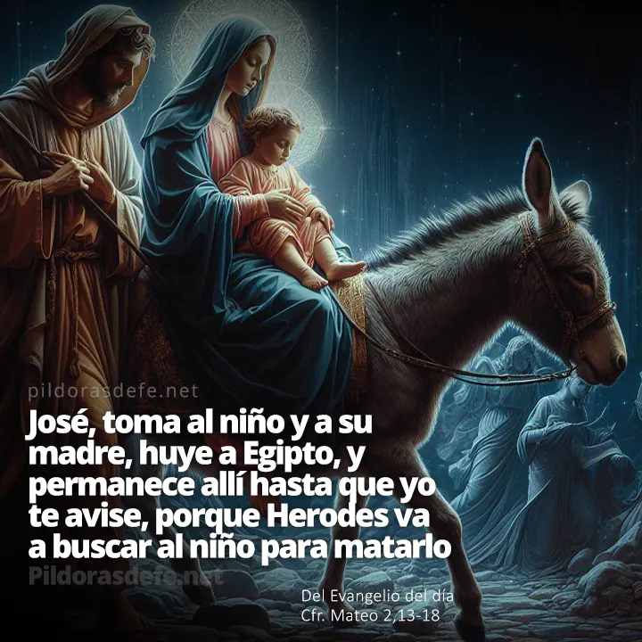 Evangelio de hoy Jueves 28/12/23: Lecturas de hoy
