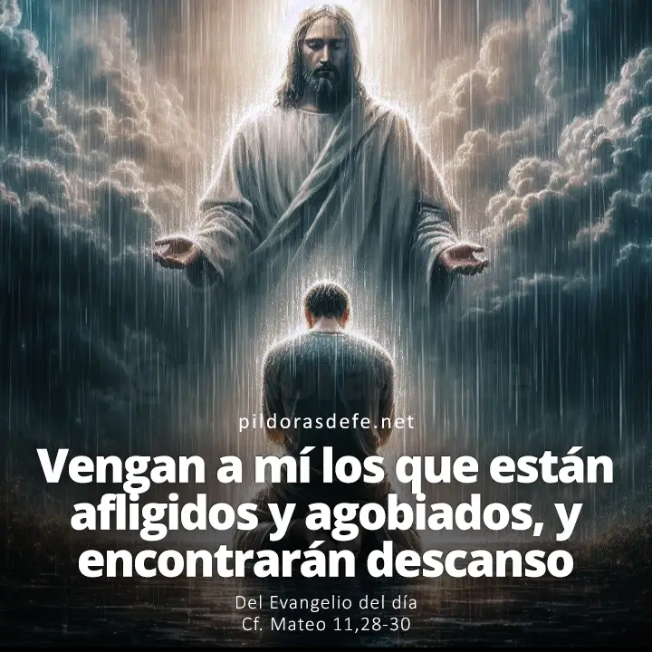 Evangelio de hoy Miércoles - Lecturas del día: 11/12/24