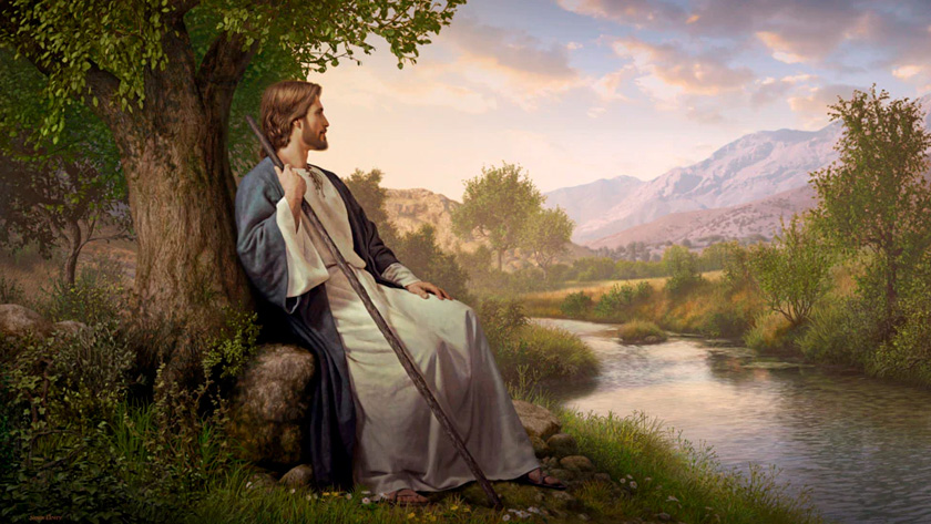 ¡Yo soy la vid! Separados de mí, nada pueden hacer